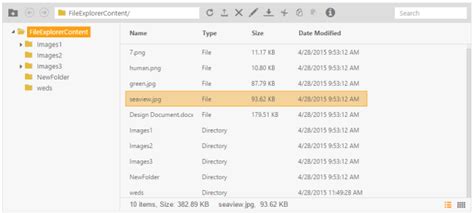 how to fileexplorer asp mvc syncfusion