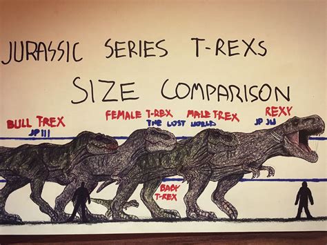 T Rexs Size Comparison Done Jurassicpark3 Amazing Blue Indoraptor