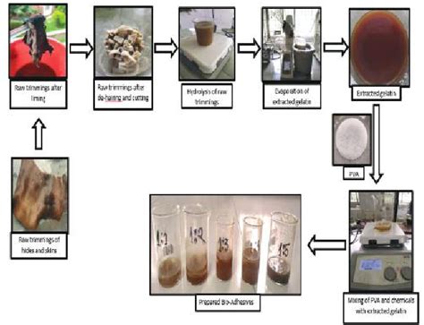 Figure 1 From Impact Of Polyvinyl Alcohol For Bio Adhesives Preparation