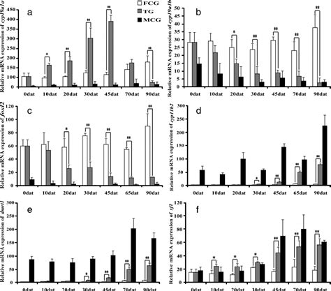 Expression Profiles Of 6 Key Genes Known To Be Involved In Sex