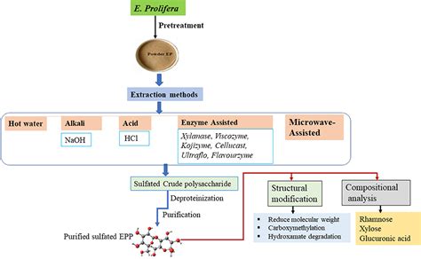 frontiers extraction techniques biological activities and health