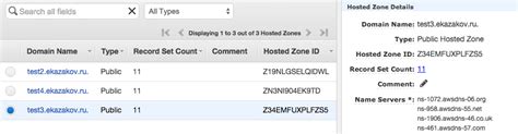 white label dns with aws route53