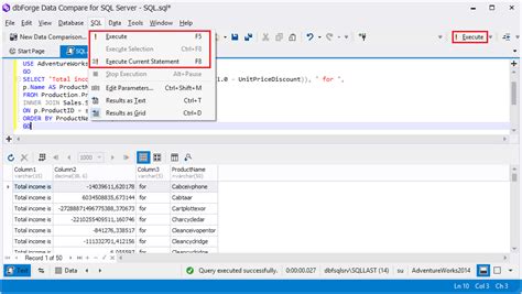 executing sql statements
