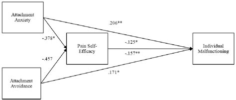 Path Analysis Showing Direct And Indirect Effects Between Insecure