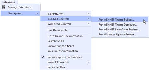 launching the theme builder asp theme builder