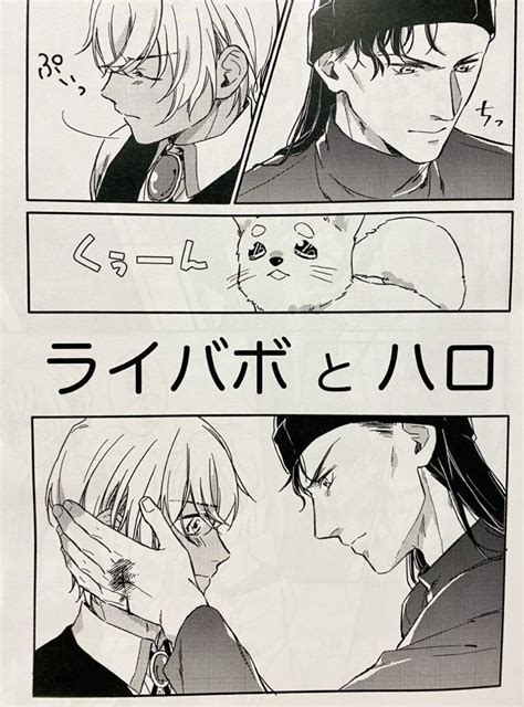 【目立った傷や汚れなし】名探偵コナン 同人誌 赤安 赤井秀一×安室透 Secret Code ライバボとハロ の落札情報詳細 ヤフオク落札