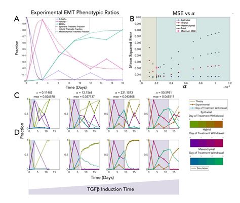 Stochastic Modeling Framework Applied To Time Course Emt Data A The