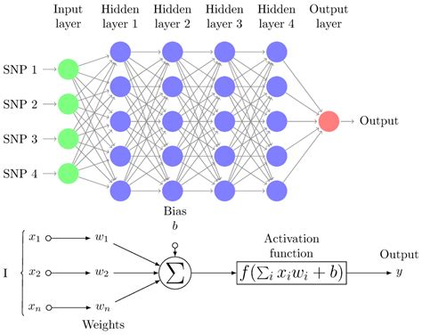 genes free full text a guide on deep learning for complex trait