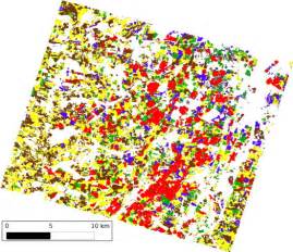 Example Of Crop Map Obtained By Supervised Classification Of Satellite