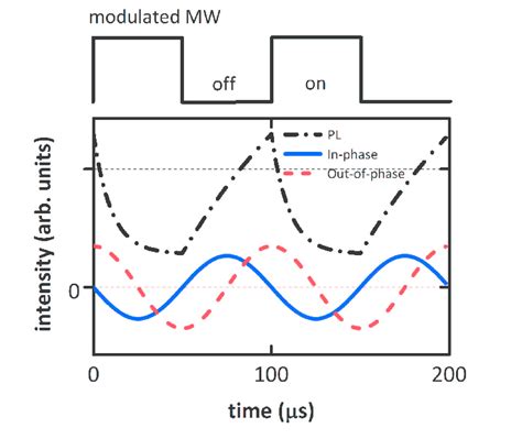 Color Online A Time Transient Calculated From A Numerical Model