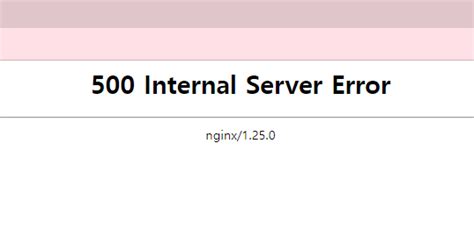[nginx] 500 Internal Server Error
