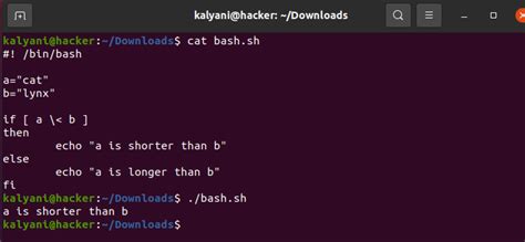 bash scripting symbols