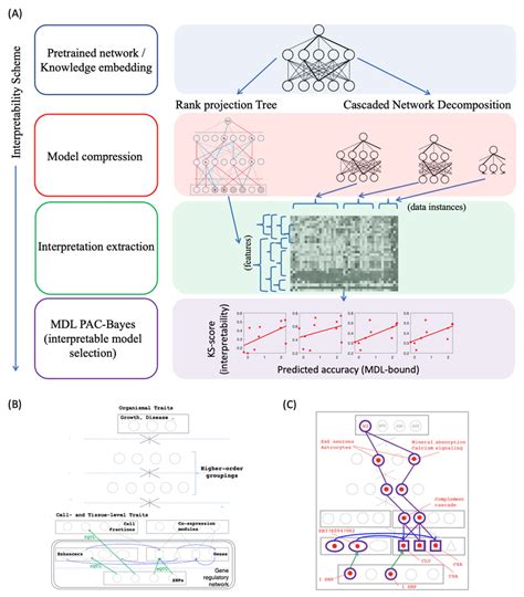 Compression Based Interpretability Schemes A Illustrates General