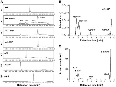 Determination Of Dacas Activities Using Hplc And Lc Ms A Analysis