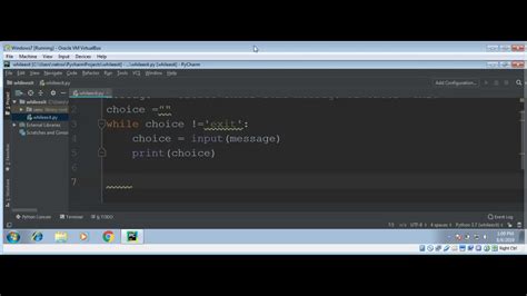 in python how to let the user choose when to exit while loop youtube