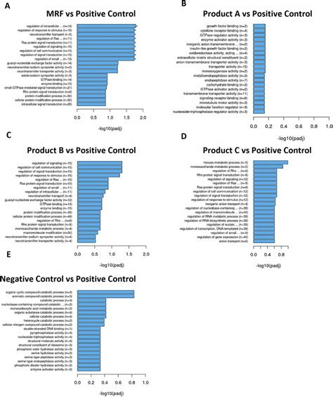Gene Ontology Go Terms Grouped On Functional Classification Of
