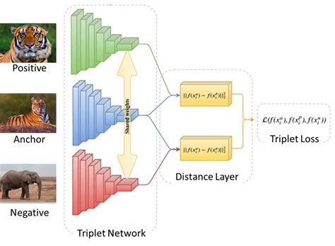 Vol 2a Siamese Neural Networks A Siamese Neural Network Snn … By
