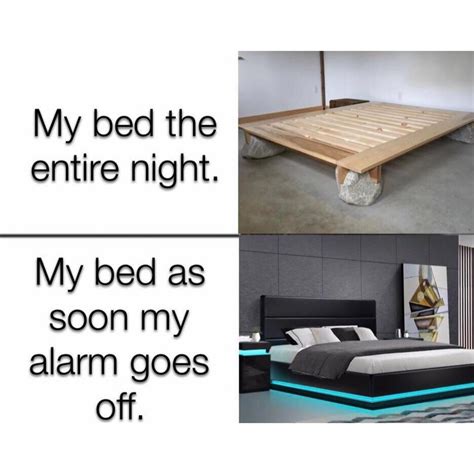 My Bed The Entire Night My Bed As Soon My Alarm Goes Off Funny