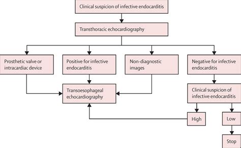 Infective Endocarditis Pathogenesis