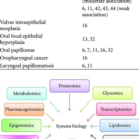 Hpv Types And Associated Diseases Download Table