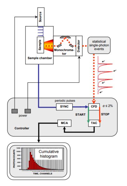 The Basic System Diagram Of Time Correlated Single Photon Counting