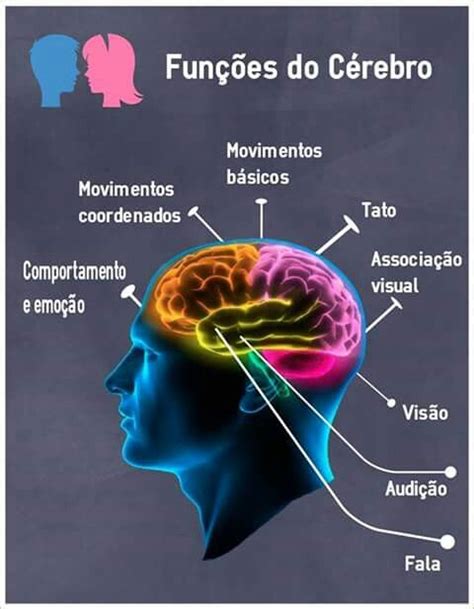 Pin Em Psicologia Psychology
