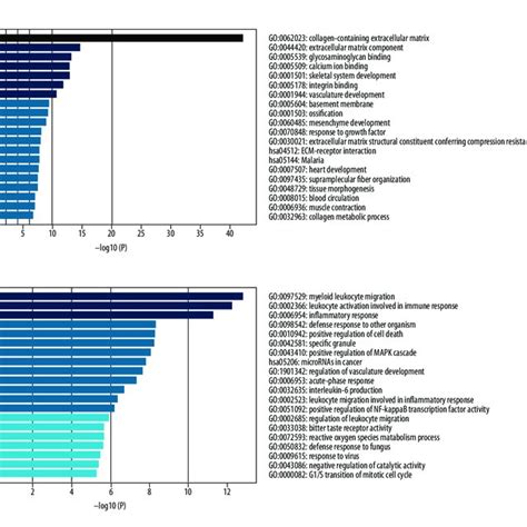 Differential Expressed Genes In Cells With Idh1 Mutation And Go Pathway