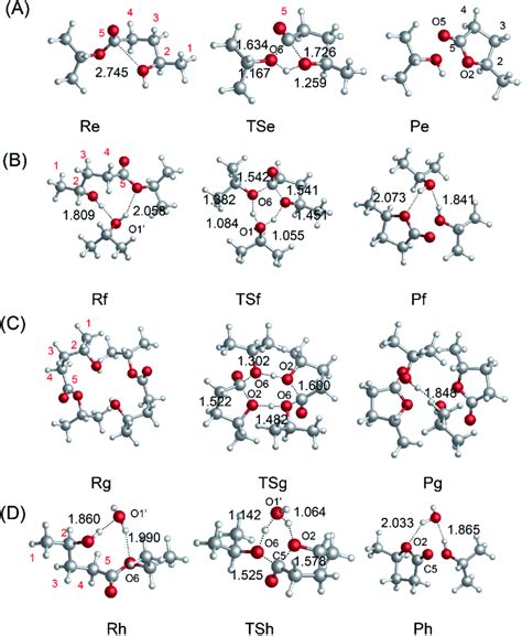 Optimized Geometries For The Reactants Transition States And Products