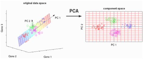principal component analysis tutorial types