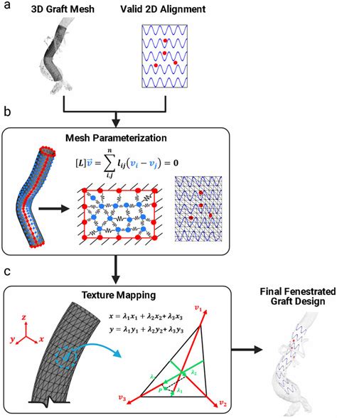 Mesh Parameterization Algorithm In Fenfit A A 3d Graft Mesh And