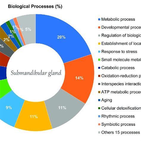 Functional Distribution Of Proteins Identified With Differential