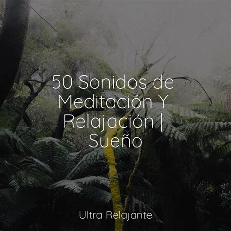 50 Sonidos De Meditación Y Relajación Sueño Album By Dormir Sol