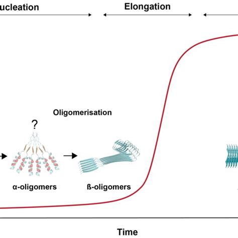 Steps Of Amyloid β Aggregation Illustration Of Putative Nucleation