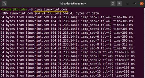 ping command in ubuntu 20 04