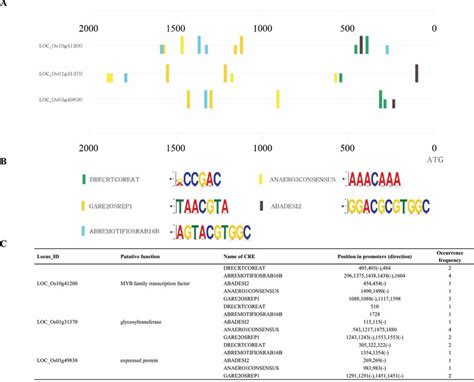 Identification Of Cis Regulatory Elements Cres Conserved In 3