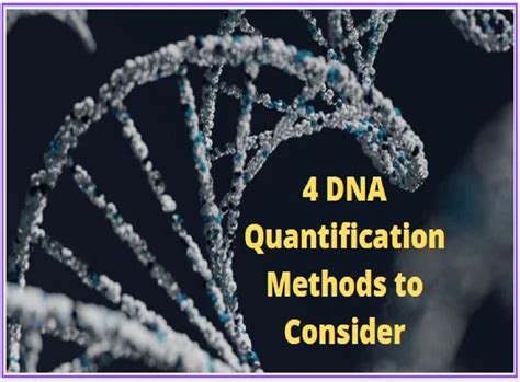 4 Dna Quantification Methods To Consider Magbio Genomics