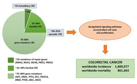 Molecular Detection Of Colorectal Cancer Encyclopedia Mdpi