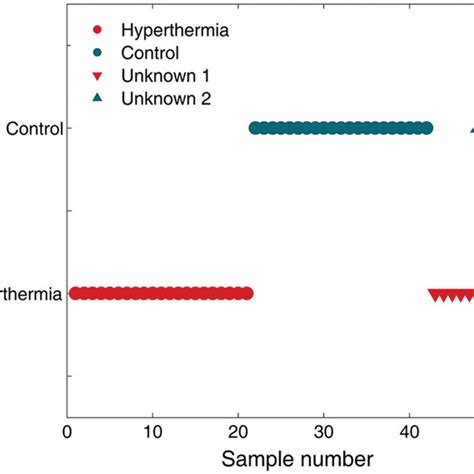 prediction results in the cross validation and external validation