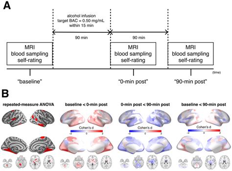 Experimental Design And The Effect On Functional Connectivity Panel