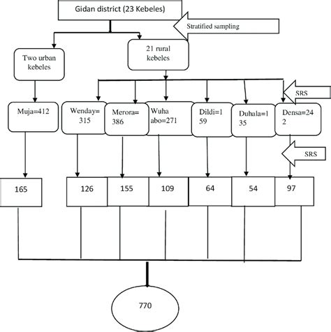 Schematic Presentation Of The Sampling Procedure Download Scientific
