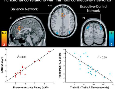 Figure 3 From Dissociable Intrinsic Connectivity Networks For Salience