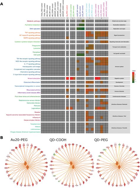 Functional Analysis Of The Transcriptomics Data A Functional