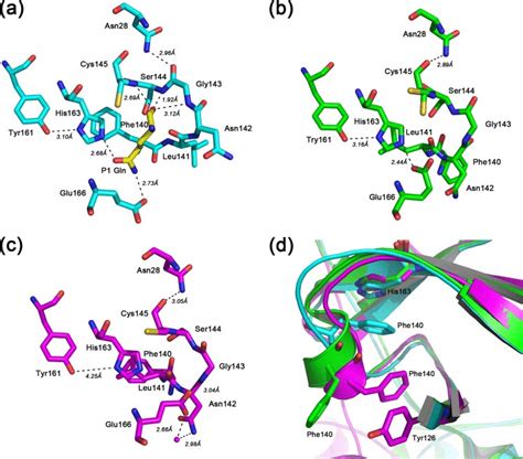 Conformational Variations In The S1 Subsite Of The Substrate Binding