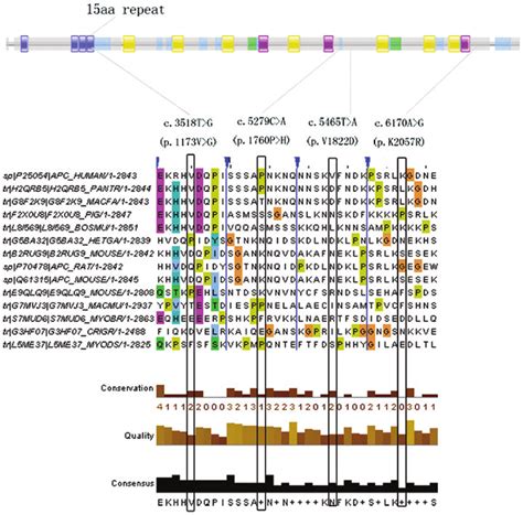 Distribution Of Mutations Identified In The Apc Gene In Individuals