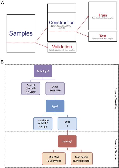 classifier development a schematic representation of classifier
