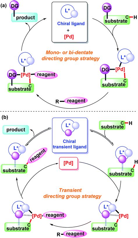 Palladium Catalyzed Direct Asymmetric C H Bond Functionalization