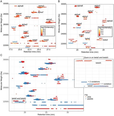 Top Down And Intact Protein Mass Spectrometry Data Visualization For
