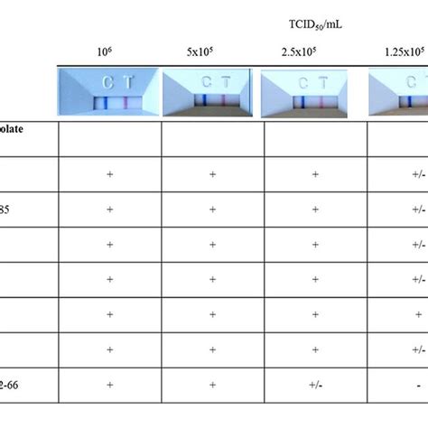 Analytical Sensitivity Of The Mab 1d11 Based Lateral Flow Device For