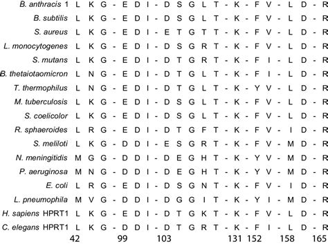 Figures And Data In Evolution Of P Ppgpp Hprt Regulation Through
