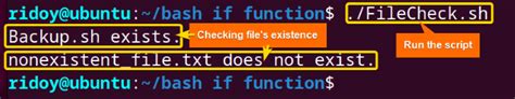 How To Use “if” Statement In Bash Function [7 Examples] Linuxsimply